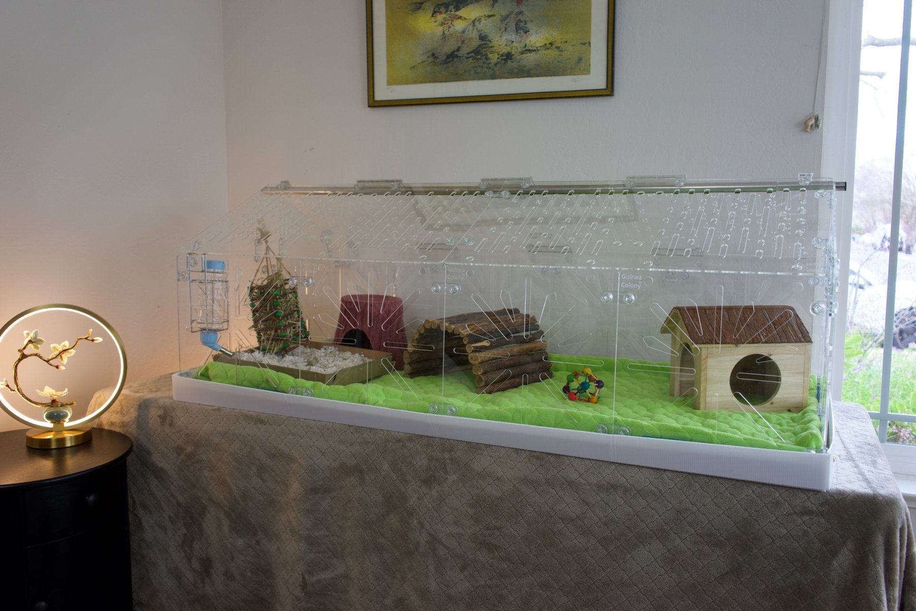 Guinea Colony Roof Lid – Critter Colony Club
